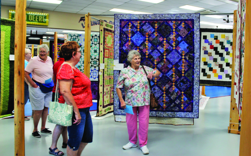 Quilters display more than 200 quilts | News, Sports, Jobs - The Express